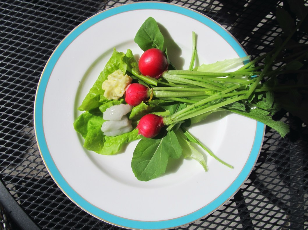 How to make Aioli: A perfect condiment for grilled foods – The Roaming ...